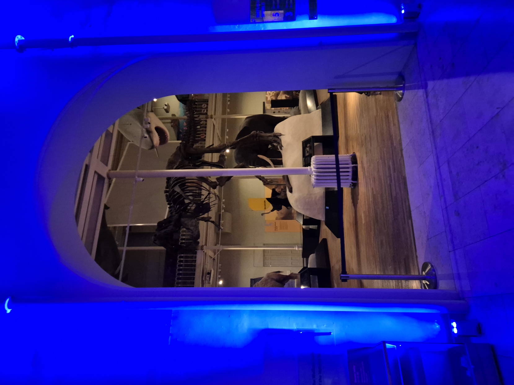 Conference Gala Dinner - A Night at the Museum – CHoPS 2024